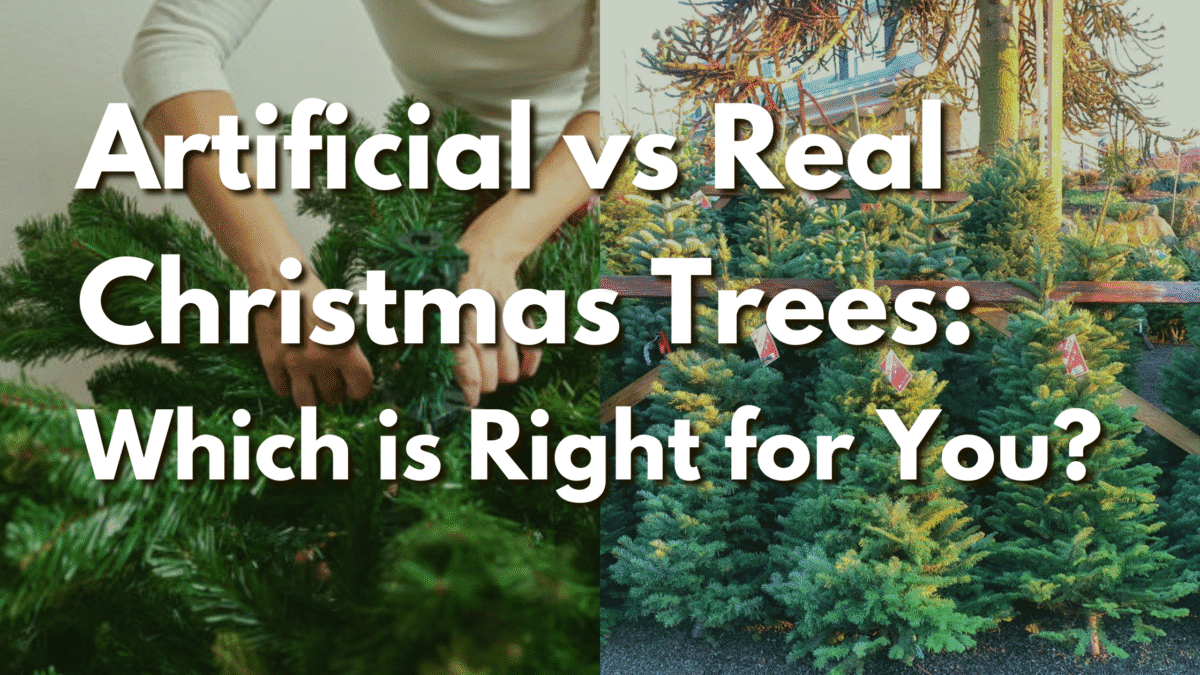 Artificial vs. Real Christmas Tree - Herbein's Garden Center